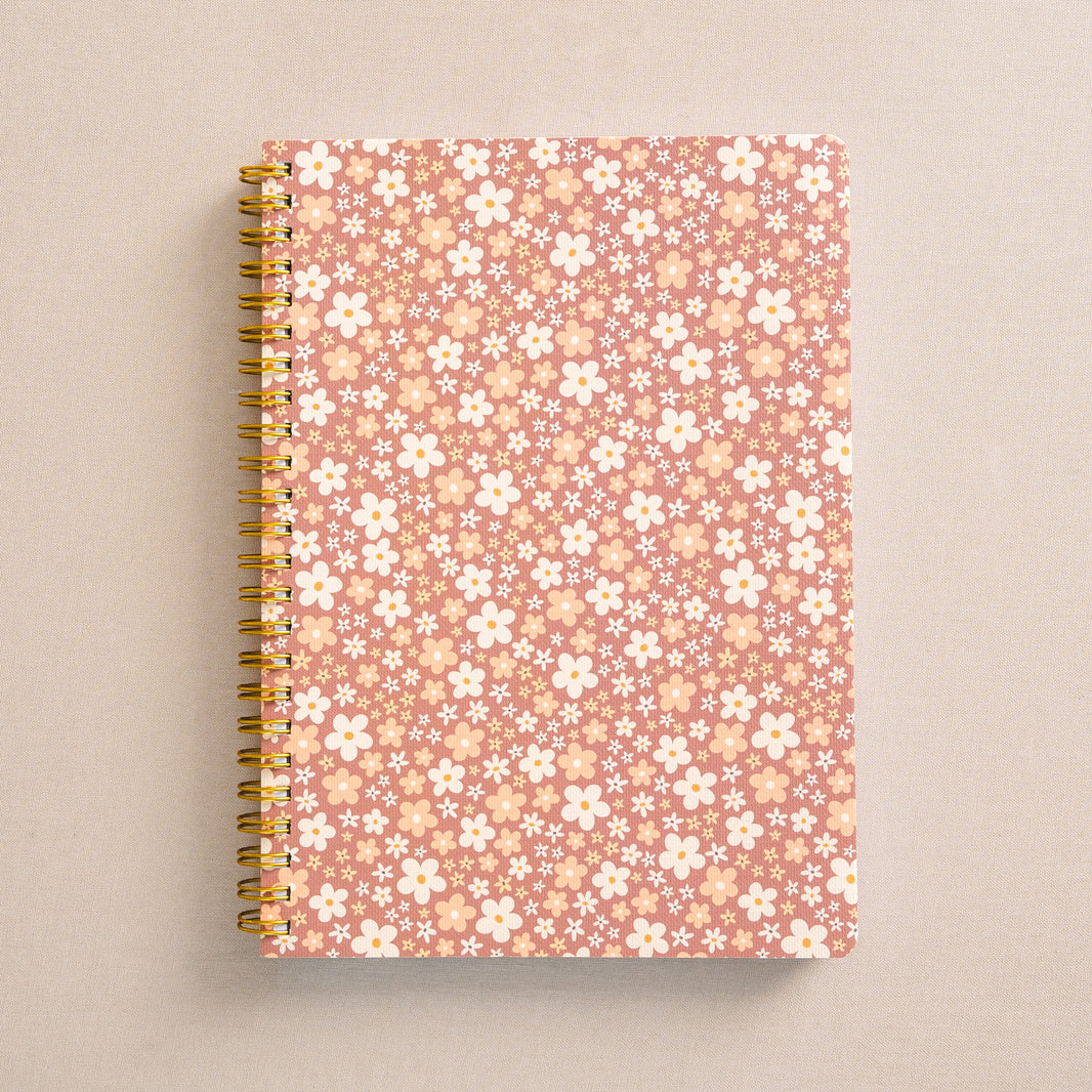 Notebooks – manda