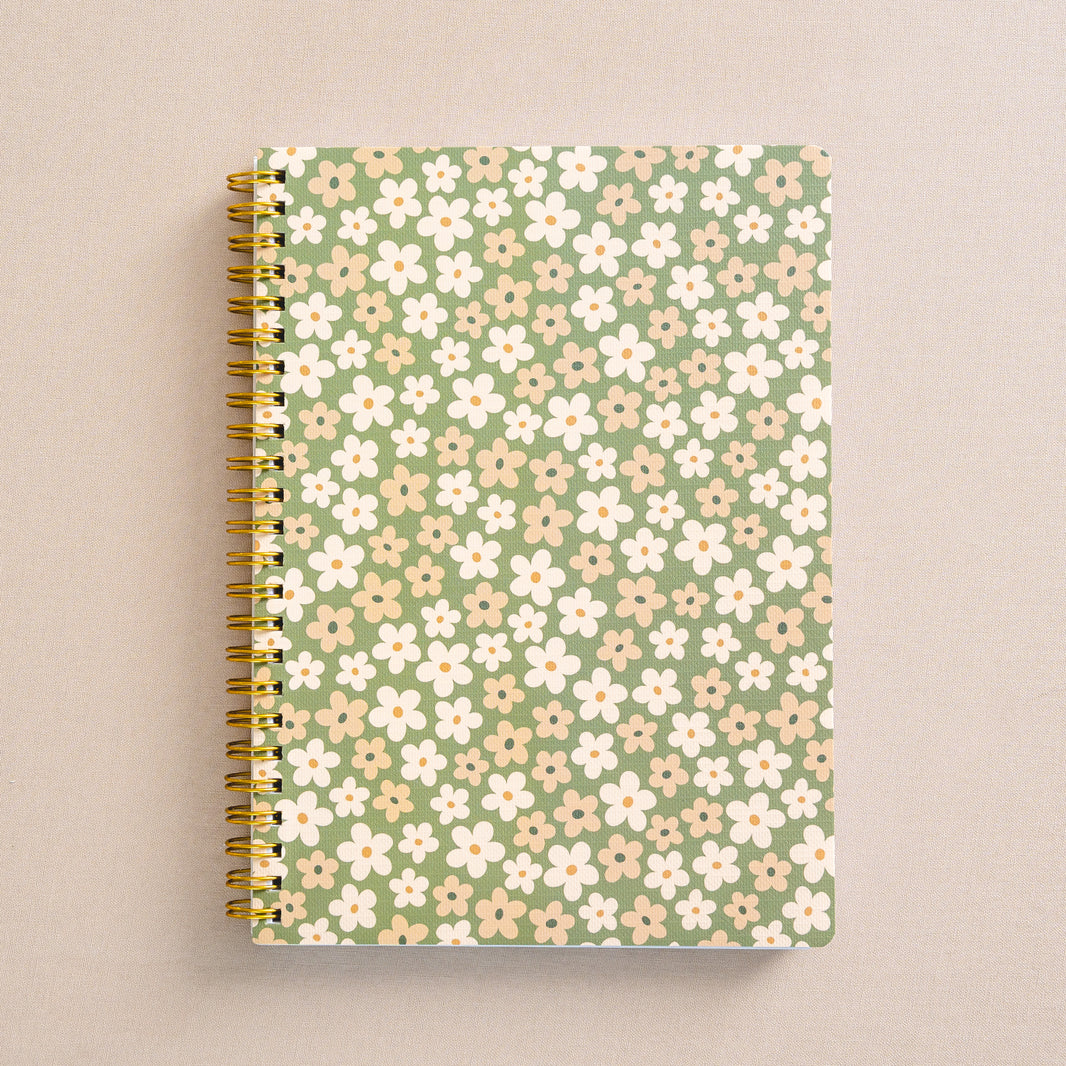Notebooks – manda